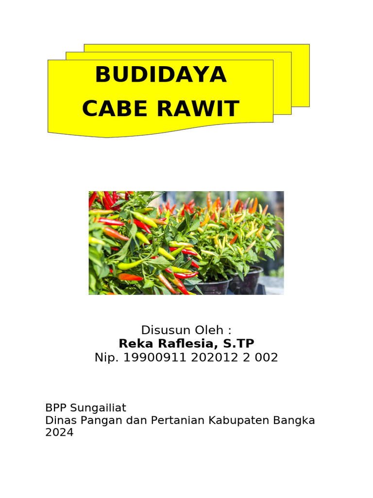 Panduan Budidaya Cabe Rawit di Indonesia | PDF