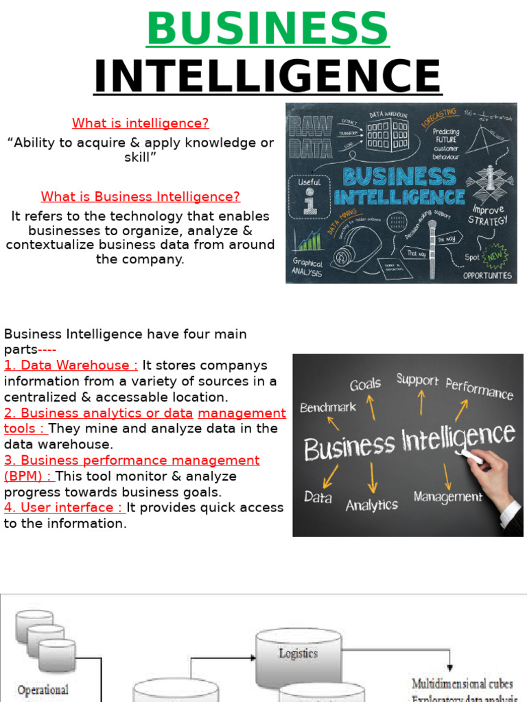 Business Intelligence | PDF