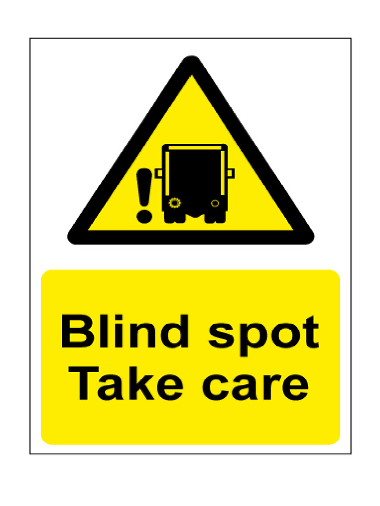 Blind Spot | PDF