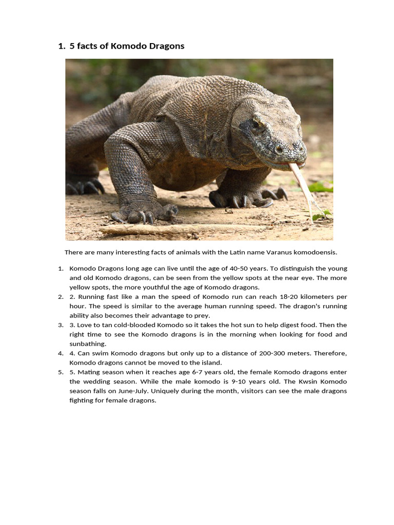 5 Facts of Komodo Dragons | PDF | Rhinoceros | Komodo Dragon