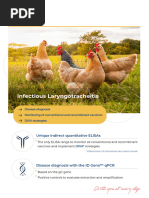 Metropolis Edos PDF | PDF