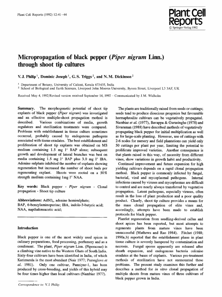 Micropropagation of Black Pepper Piper N | PDF | Black Pepper | Root
