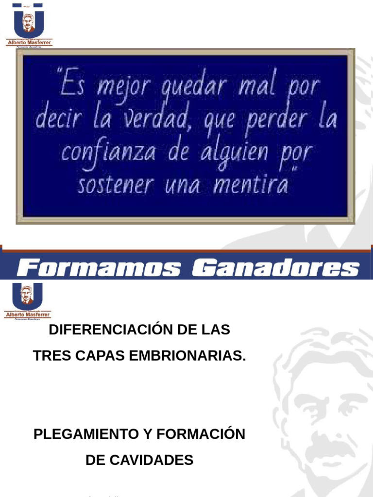 Tema 2 Las Tres Capas Embrionarias | PDF | Anatomía | Biología del ...