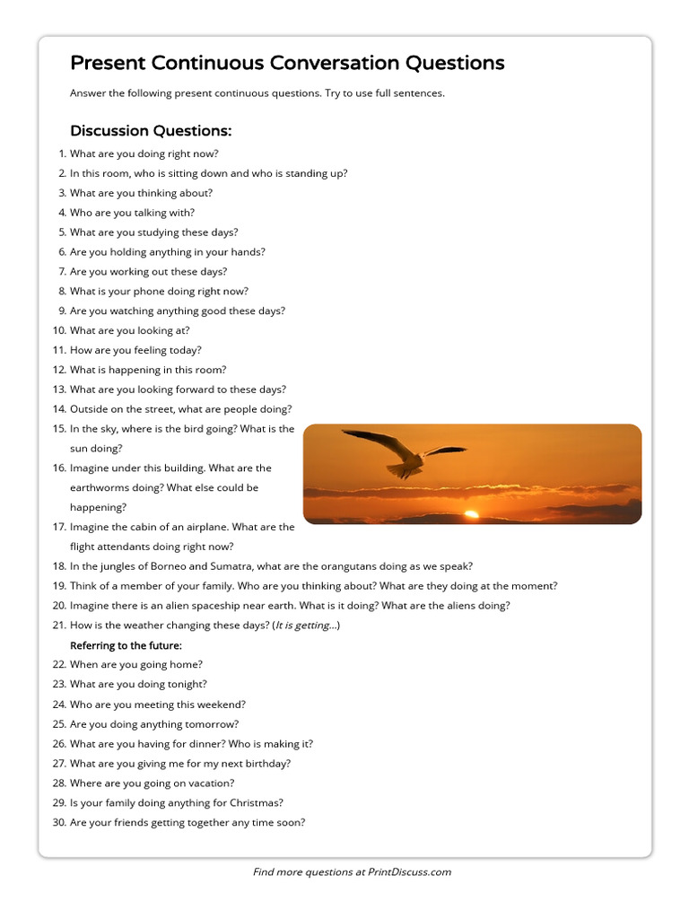 Present Continuous Questions | PDF