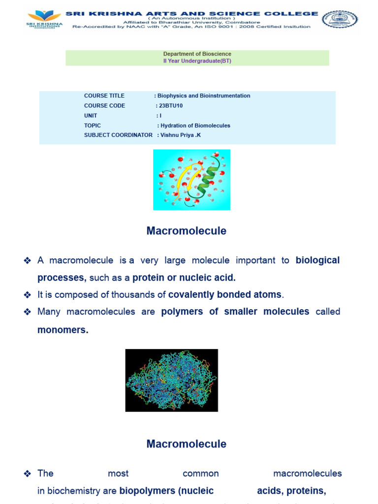 Hydration of Macromolecules in Biophysics | PDF | Macromolecules ...