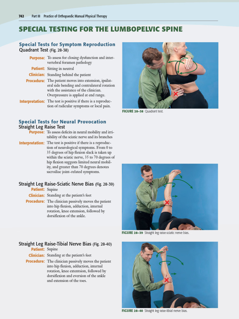 Special Testing For The Lumbopelvic Spine | PDF | Anatomical Terms Of ...
