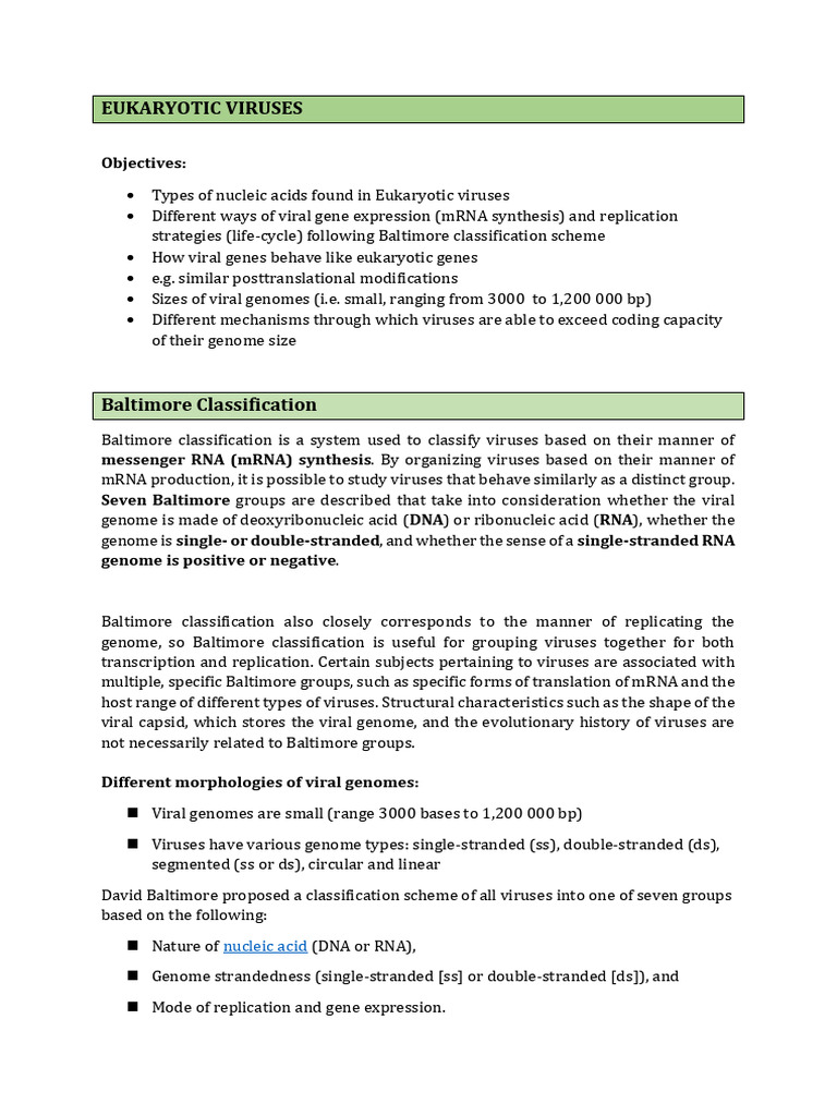 Eukaryotic Viruses Notes | PDF | Virus | Microbiology
