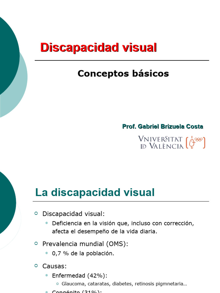 12 Discapacidad Visual | PDF