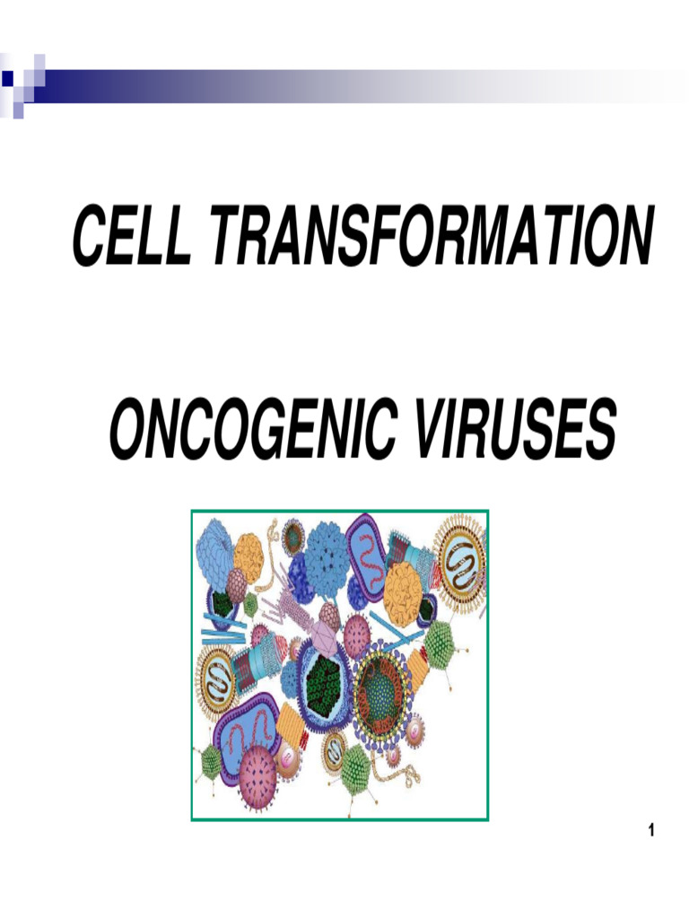 Oncogenic Viruses and Cell Transformation | PDF | Virus | Oncogene