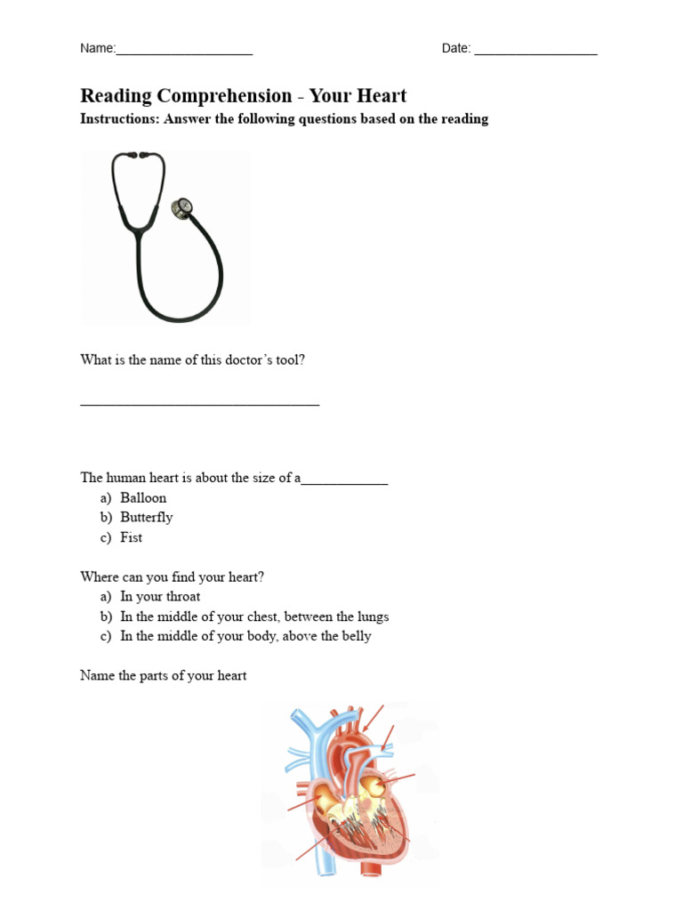 Heart Reading Comprehension Worksheet | PDF