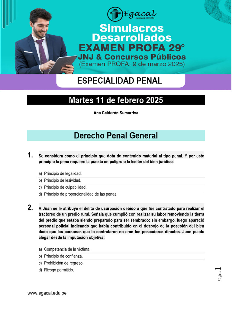 Principios y Delitos en Derecho Penal | PDF | Fiscal | Cocaína