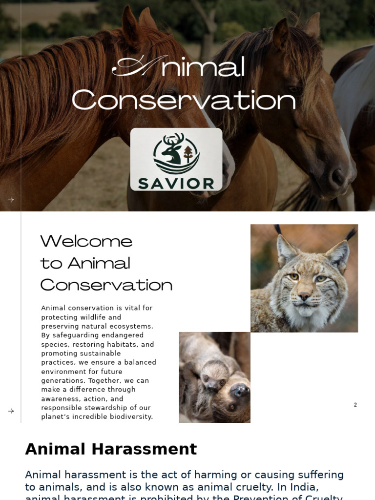 0 - Animal Conservations | PDF | Conservation Biology | Non ...