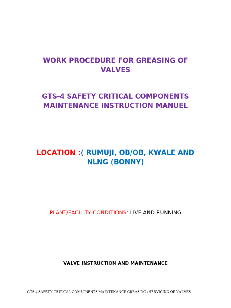 GTS 4 Greasing Work Method | PDF | Valve | Leak