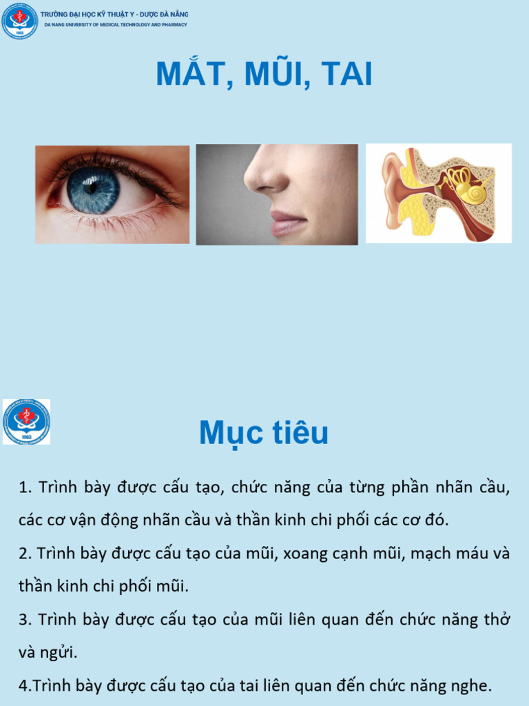 MAT, MUI , TAI - E | PDF