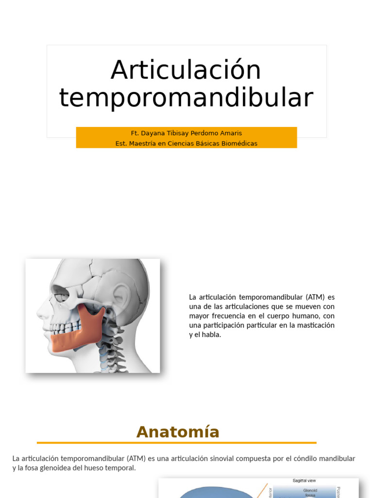 Anatomía y Biomecánica de la ATM | PDF | Articulación | Anatomía humana