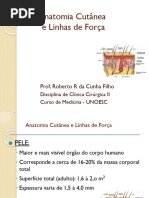 Linhas de Langer na Pele Humana | PDF