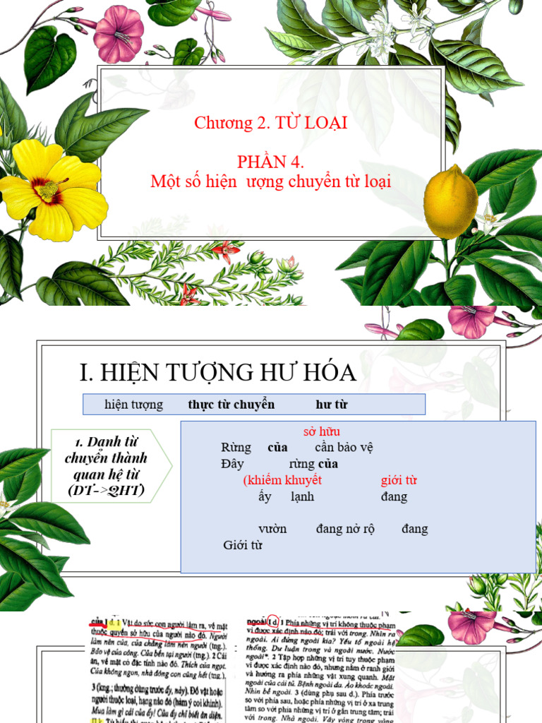 2.4.chuyen Tu Loai - Day TL - Gui HV | PDF