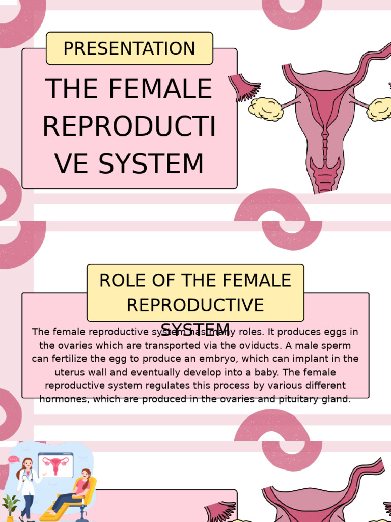 Overview of the Female Reproductive System | PDF | Reproductive System ...