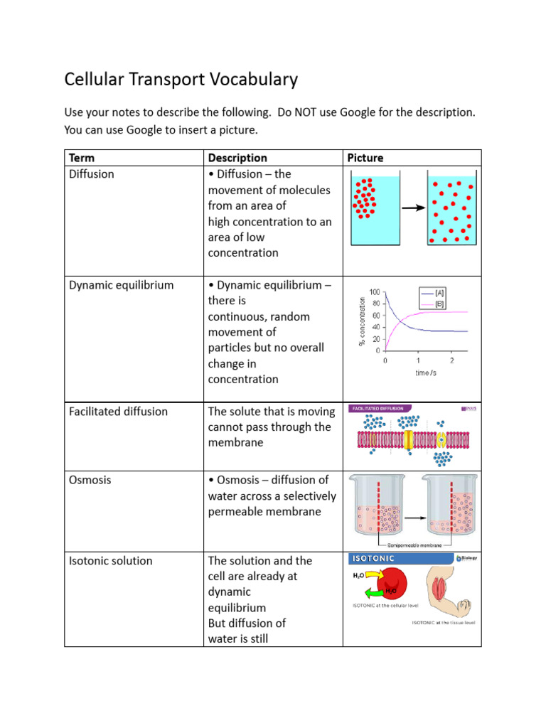 Cellular Transport Vocabulary: Term Description Picture | PDF | Osmosis ...