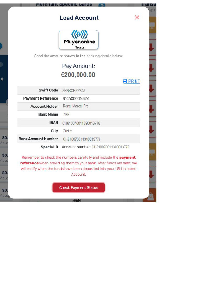 Authentic Online Transfer Receit (Rene M Frei) | PDF