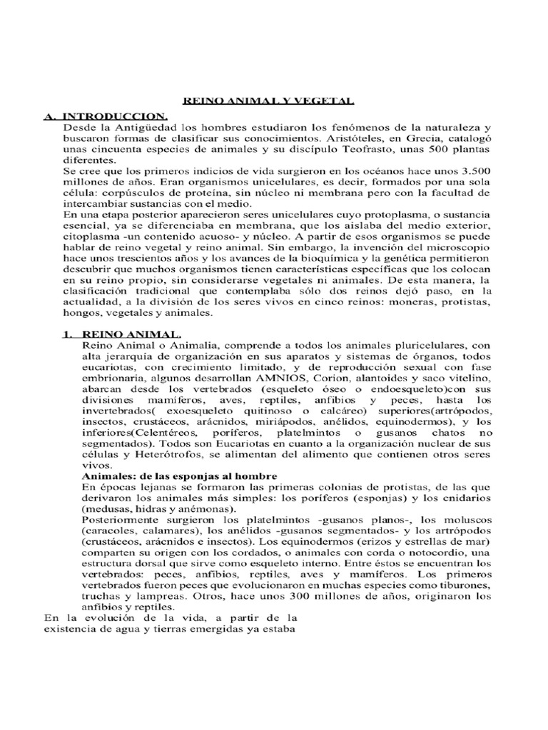 Tareainfo Valen | PDF