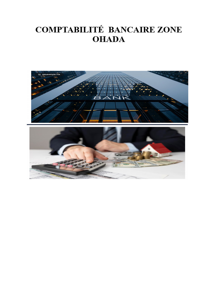 Comptabilité Bancaire Zone OHADA | PDF | Comptabilité analytique | Ratio financier