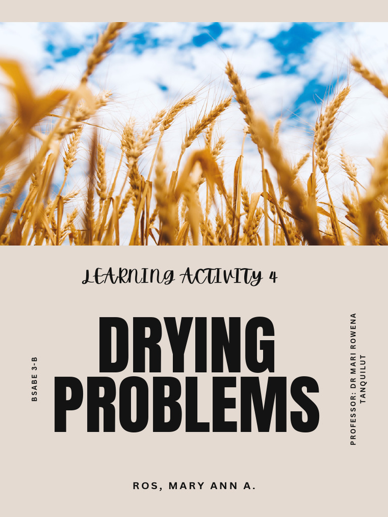 LEARNING ACTIVITY 4a Drying Problems | PDF | Efficient Energy Use | Food Preservation