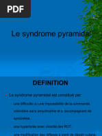 Syndrome Pyramidal | PDF | Système nerveux | Causes de décès