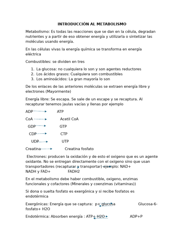 Introducción Al Metabolismo | PDF | Metabolismo | Nicotinamida adenina dinucleótida