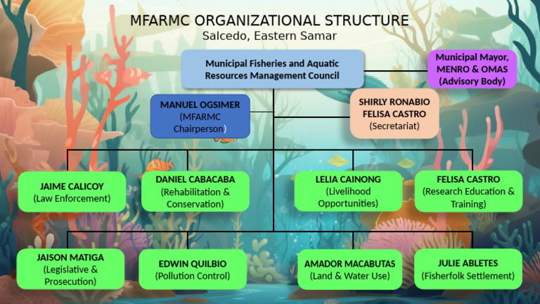 MFARMC Organizational Structure Overview | PDF