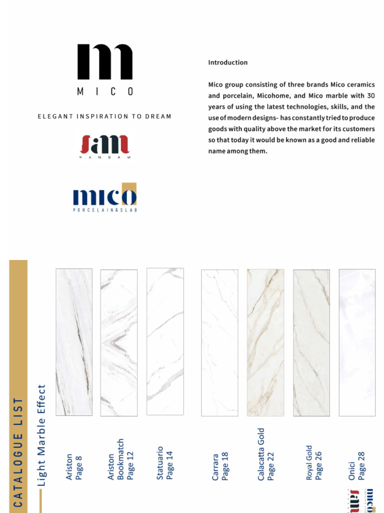 Micogroup2023 SANSAM | PDF