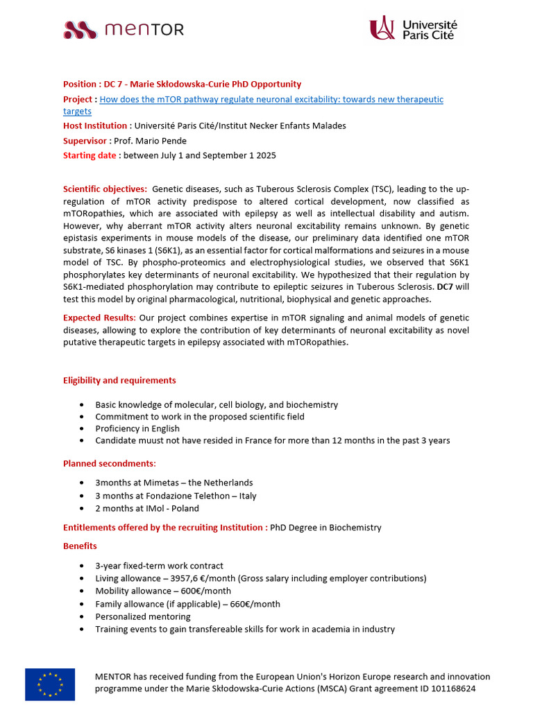 DC 7 - PHD Position at Université Paris Cité - INEM | PDF | Epilepsy | Life Sciences