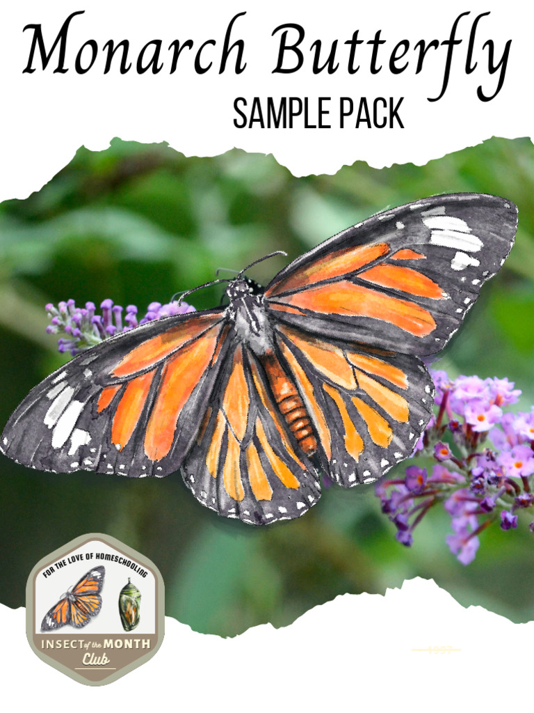 Monarch Butterfly Unit Study Sample Pack | PDF | Endangered Species ...