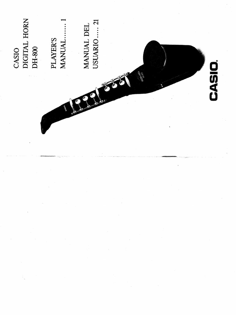 Casio DH800 User Manual | PDF