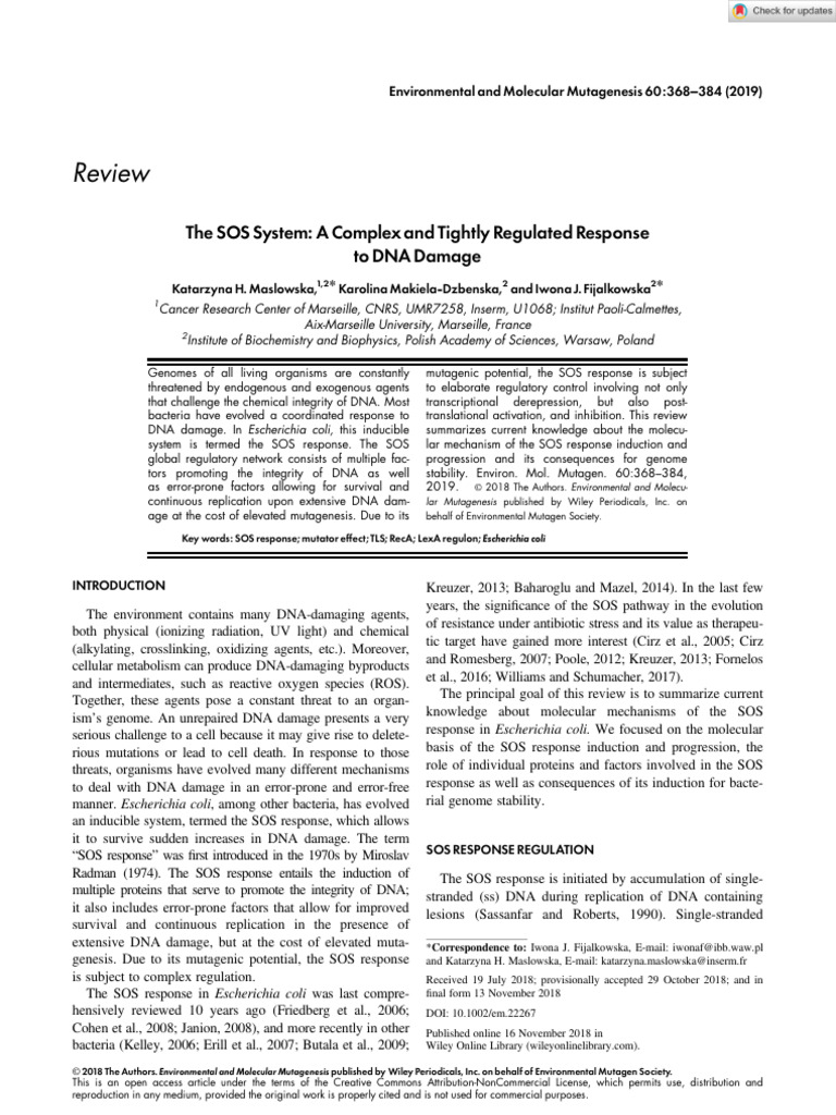 Understanding the SOS Response in E. coli | PDF | Dna Repair | Dna ...