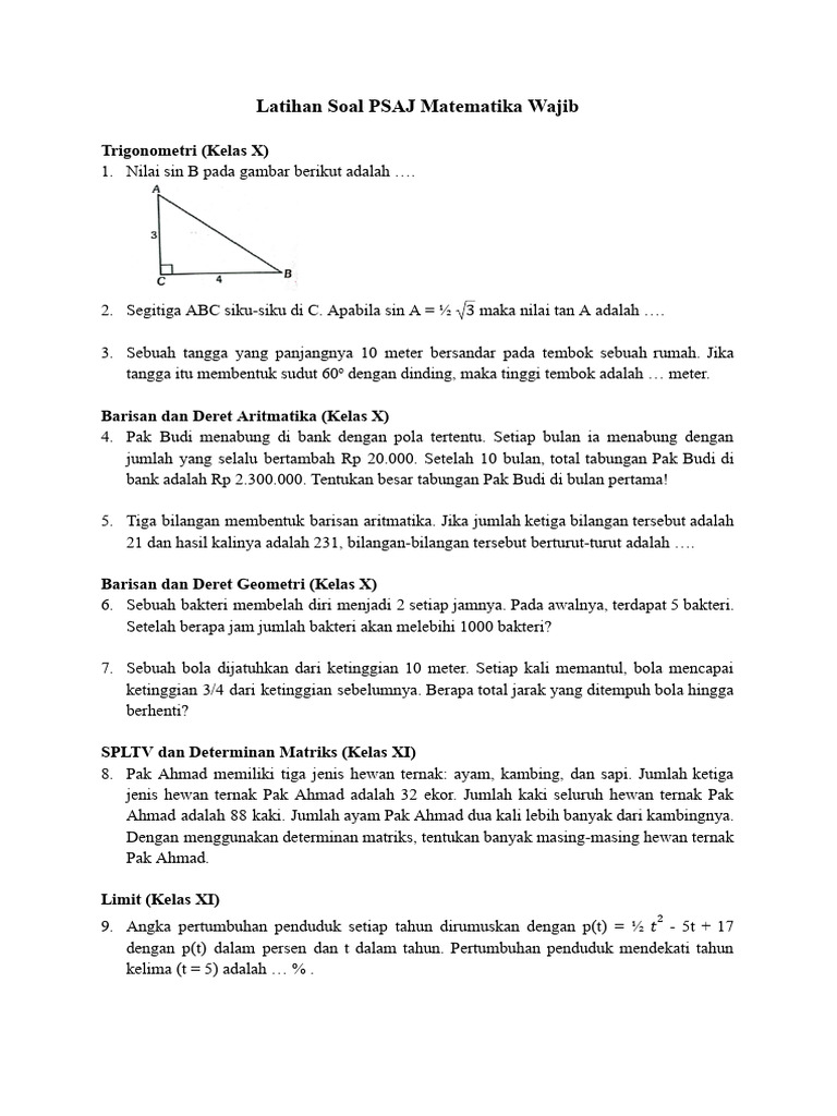 Soal Latihan PSAJ 2025 | PDF