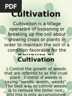 Proper Ways of Cultivation | PDF