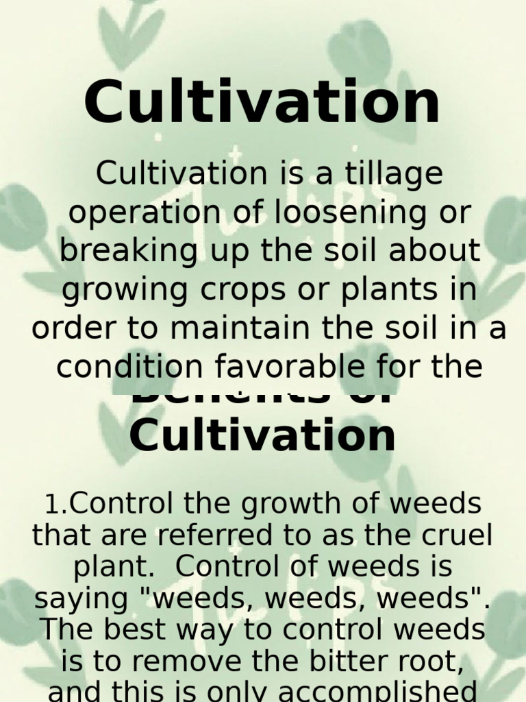 Cultivation WPS Office | PDF | Tillage | Soil