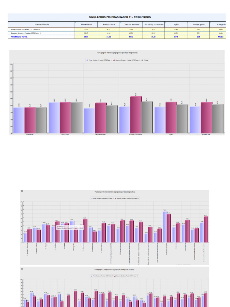 Simulacro 2 Pruebas Instruimos | PDF