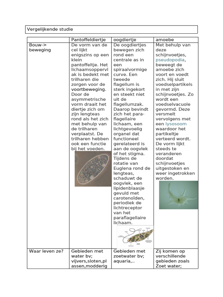 Vergelijkende Studie | PDF