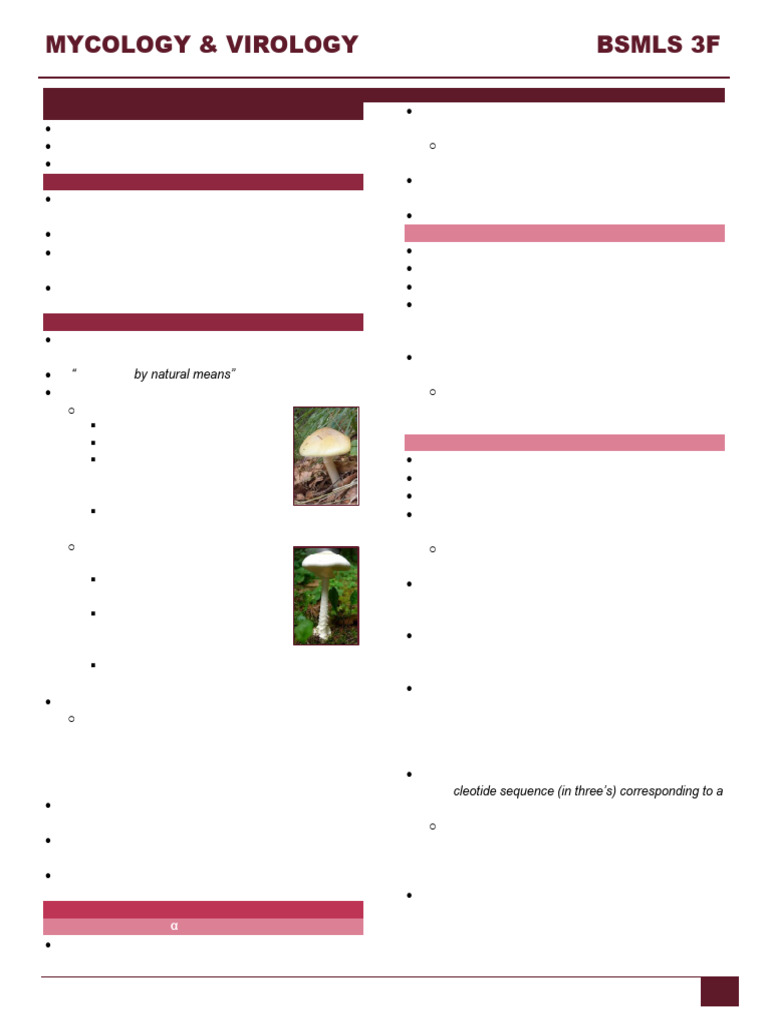 Superficial Fungal Disease Classification | PDF | Base Pair | Biology