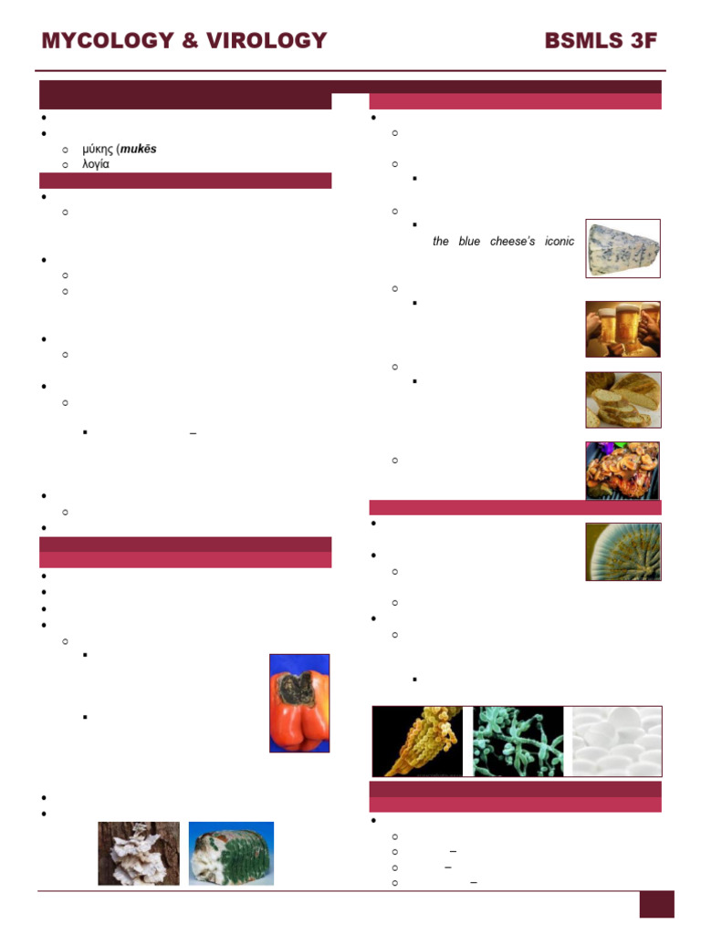 1 - Introduction To Mycology | PDF | Fungus | Biology