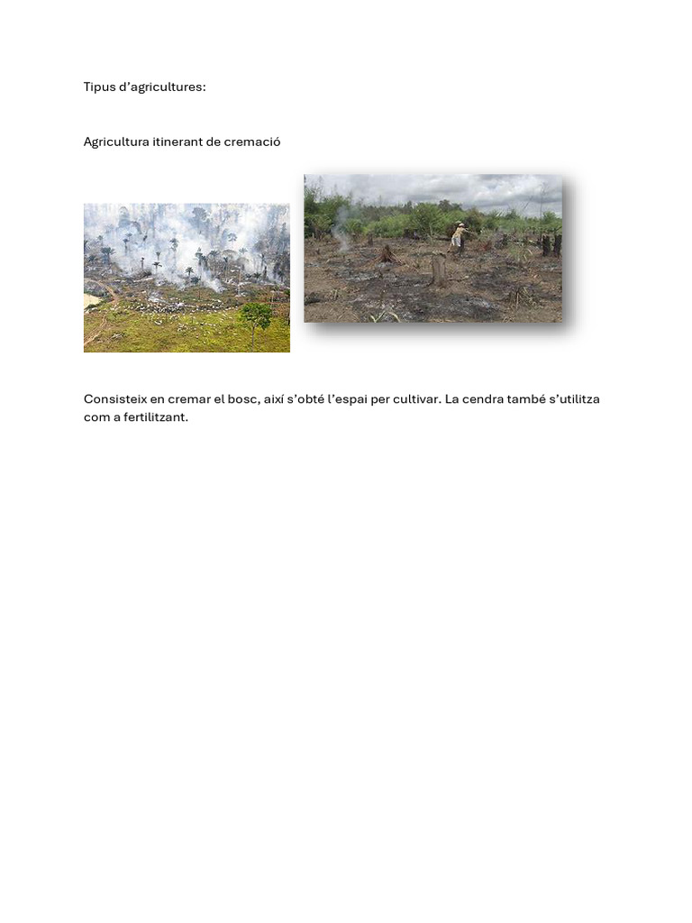 Tipus D'agricultures | PDF