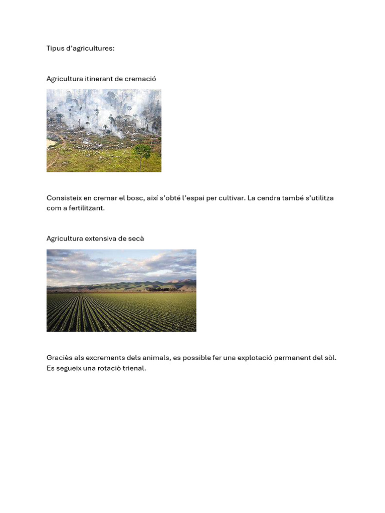 Tipus D'agricultures | PDF