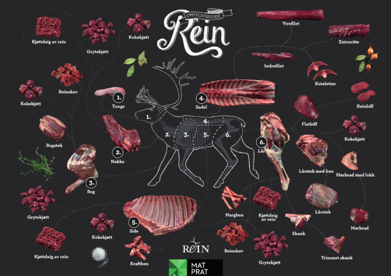 rein_a4 | PDF