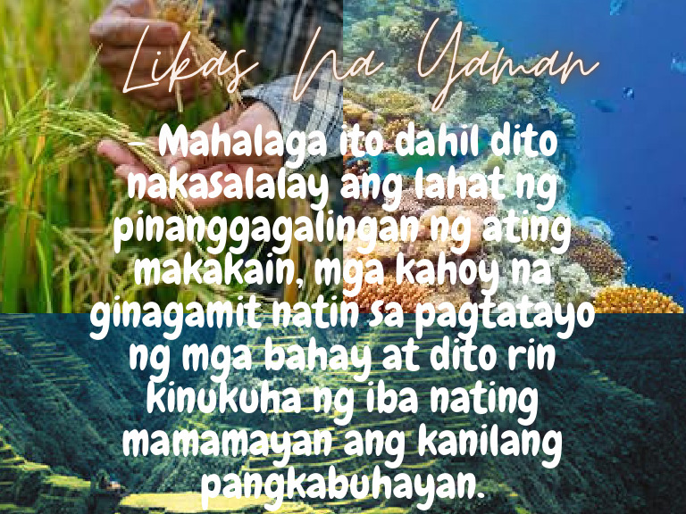 - Mahalaga ito dahil dito nakasalalay ang lahat ng pinanggagalingan ng ating makakain, mga kahoy ...