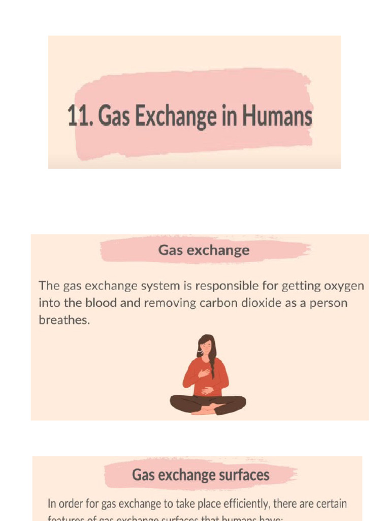 Gas Exchange | PDF