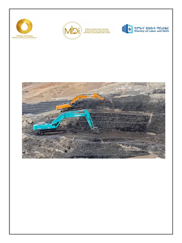 Cola VCA final | PDF | Mining | Coal Mining