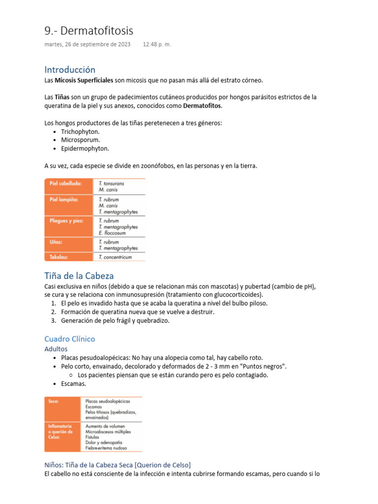 2° Parcial Derma | PDF | Piel
