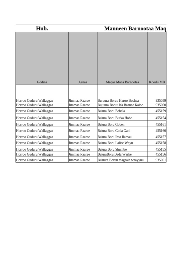 Bu'Uura Boruu Jimmaa Raaree | PDF